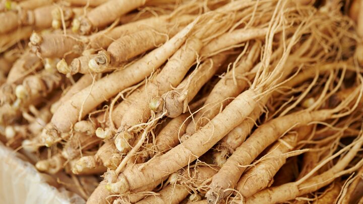 Panax Ginseng: Ancient Root, Modern Focus | Cenario